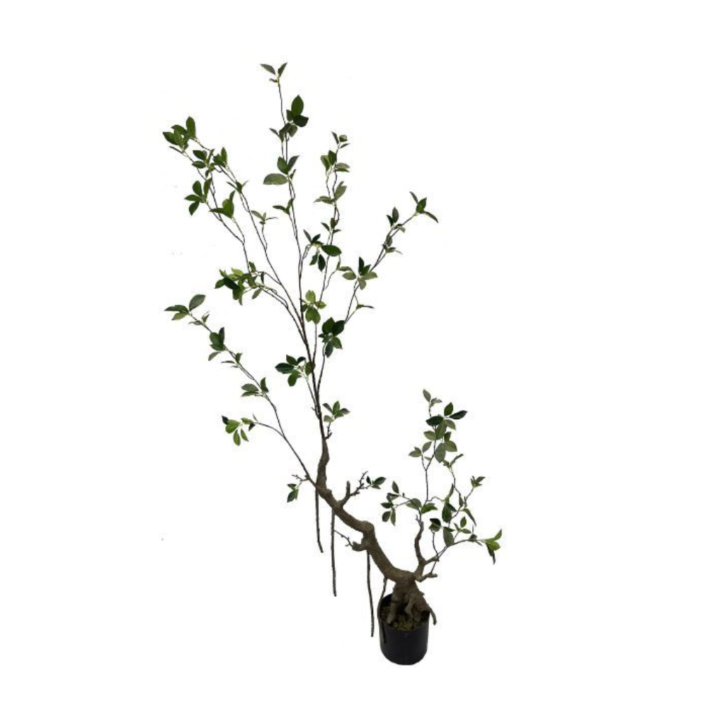 Umjetno drvo Banyan 150cm - Dobar partner