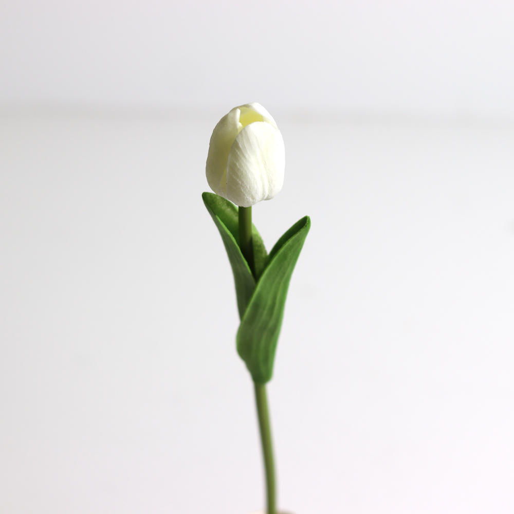 Tulipan 33cm bijela - Dobar partner